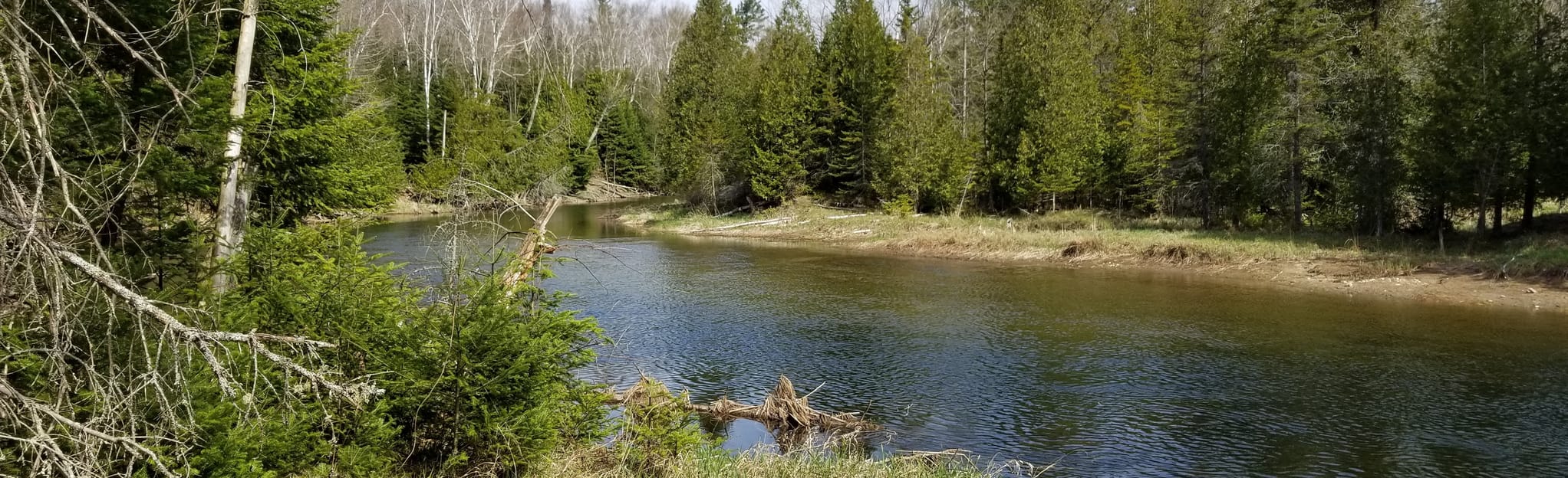 Rankin River Loop Trail : 91 Reviews, Map - Ontario, Canada | AllTrails