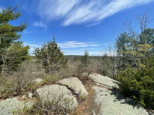 10 Best Hikes and Trails in Arcadia State Management Area | AllTrails