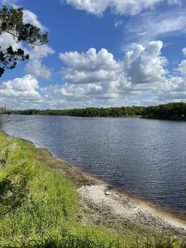 Best Hikes and Trails in Lake Harney Wilderness Area | AllTrails