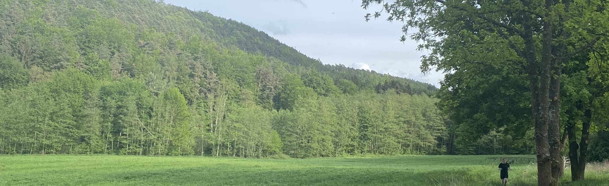 Breitenwald from Hauptstuhl, Rhineland-Palatine, Germany - 15 Reviews ...