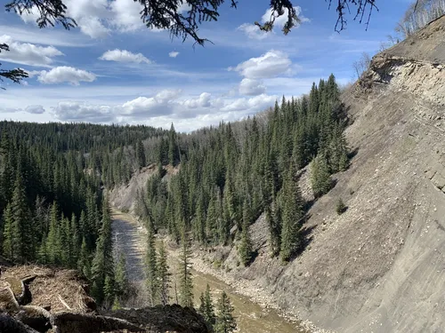 10 Best Trails and Hikes in Grande Cache | AllTrails