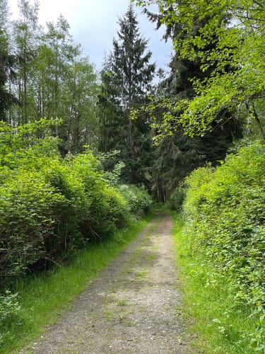 Best Hikes and Trails in Trillium Community Forest | AllTrails