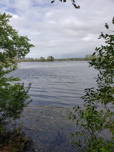 2023 Best trails in Union Lake Wildlife Management Area | AllTrails