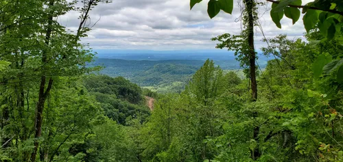 10 Best Off Road Driving Trails in Tennessee | AllTrails