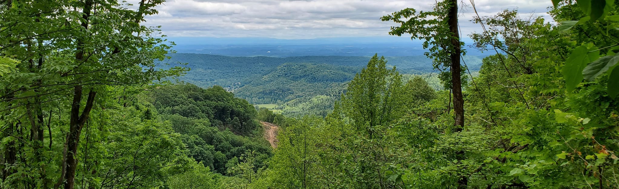 Windrock 2 and 16 OHV Trail, Tennessee - 26 Reviews, Map | AllTrails