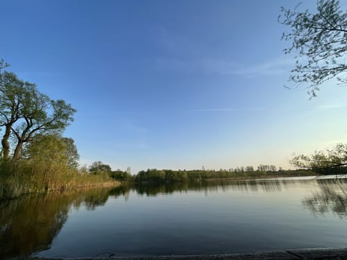 Best Hikes and Trails in Grunwald Farms Forest Preserve | AllTrails