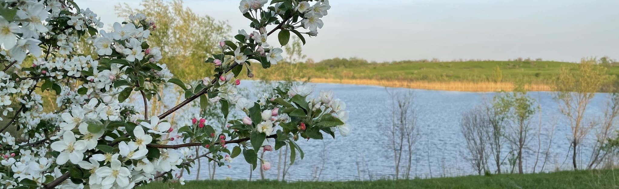 Grunwald Farms Trail, Illinois - 13 Reviews, Map | AllTrails