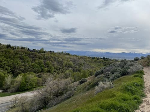 Best Hikes and Trails in Emigration Canyon | AllTrails