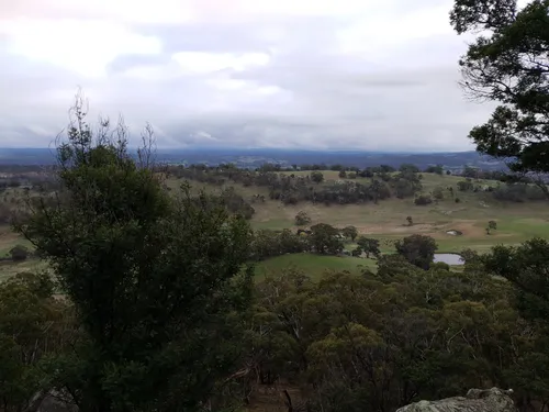 Best Walking Trails in Mount Alexander Regional Park | AllTrails