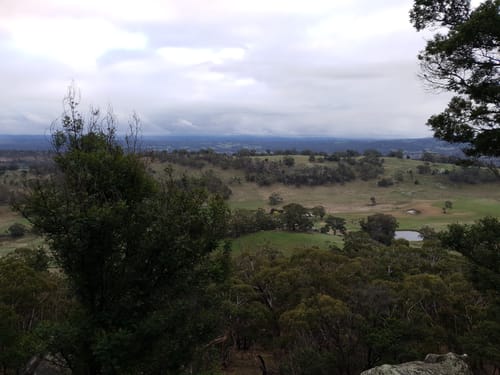 2023 Best 10 Forest Trails in Mount Alexander Regional Park | AllTrails