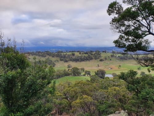 2023 Best 10 Forest Trails in Mount Alexander Regional Park | AllTrails