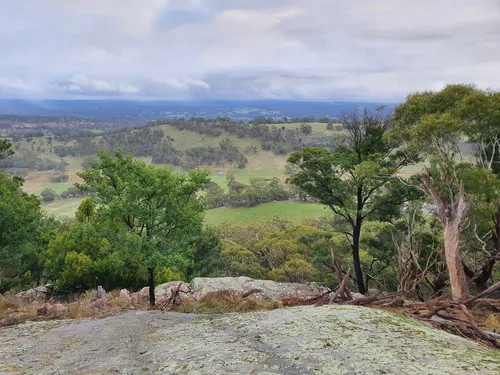 Best 10 Hiking Trails in Mount Alexander Regional Park | AllTrails