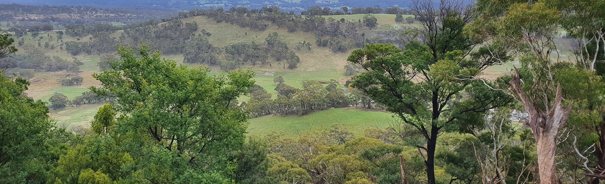 Dog Rocks Loop, Victoria, Australia - 107 Reviews, Map | AllTrails