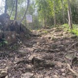 Bukit Panau, Kelantan, Malaysia - 25 Reviews, Map | AllTrails