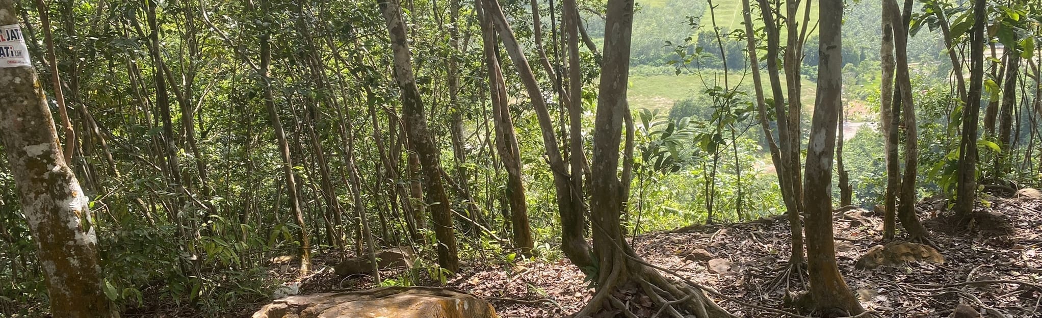 Bukit Panau, Kelantan, Malaysia - 14 Reviews, Map | AllTrails