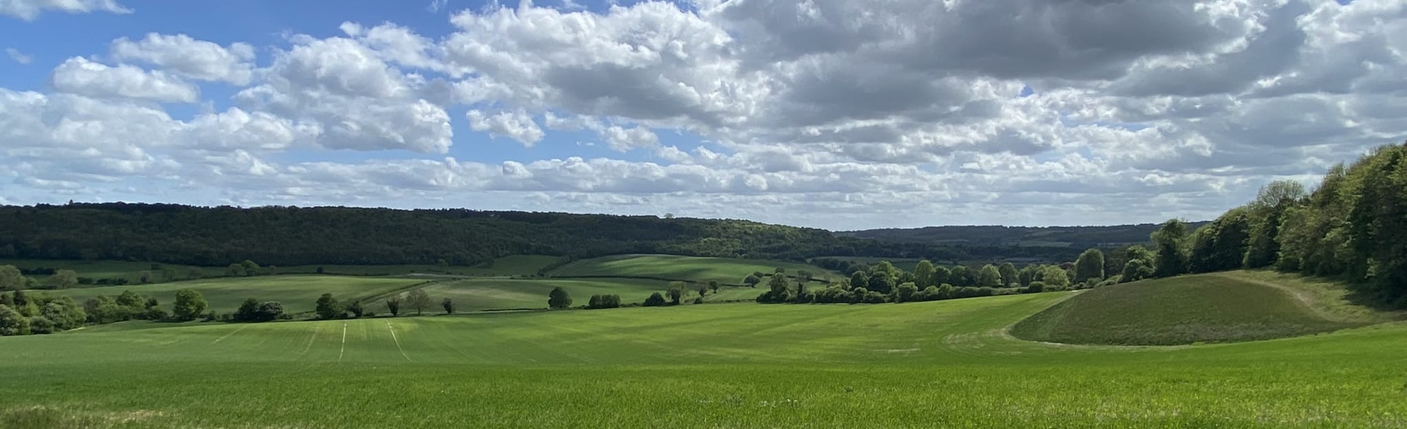 Tring and Wendover Woods Circular: 118 foto's - Hertfordshire, Engeland ...