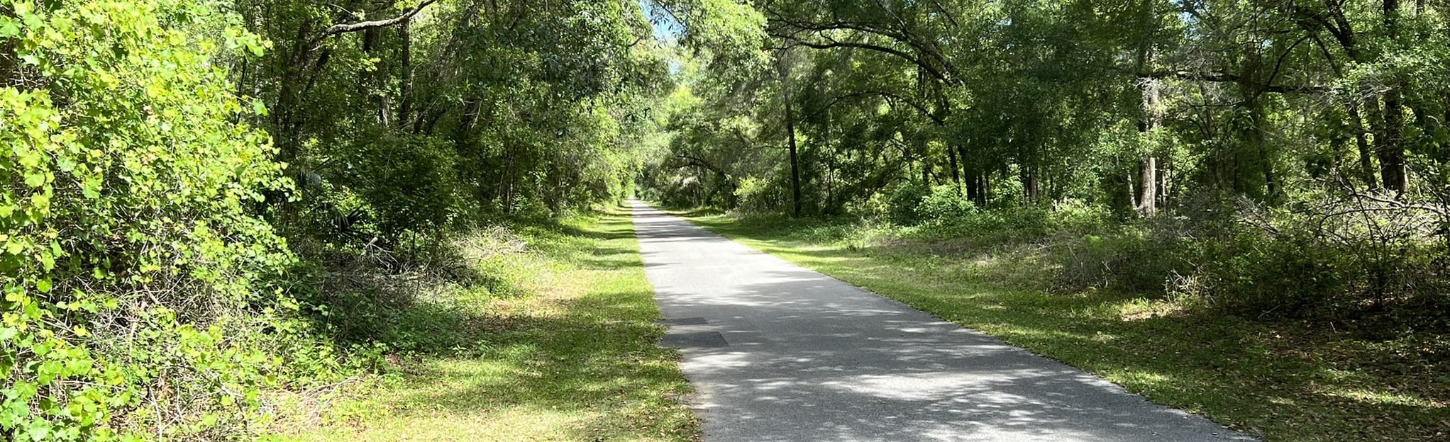 Florida Trail: Citrus to Cross Florida Greenway: 1 Reviews, Map ...