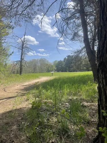 10 Best Trails and Hikes in Webster | AllTrails