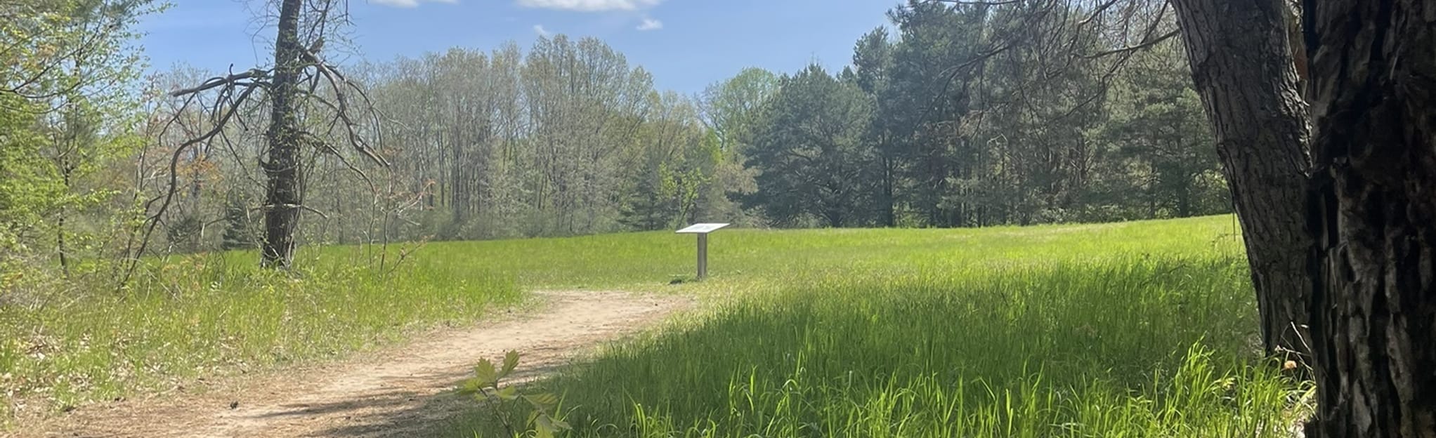 Meadow Trail via Ridge Trail and Big Woods Trail | Map, Guide - New ...