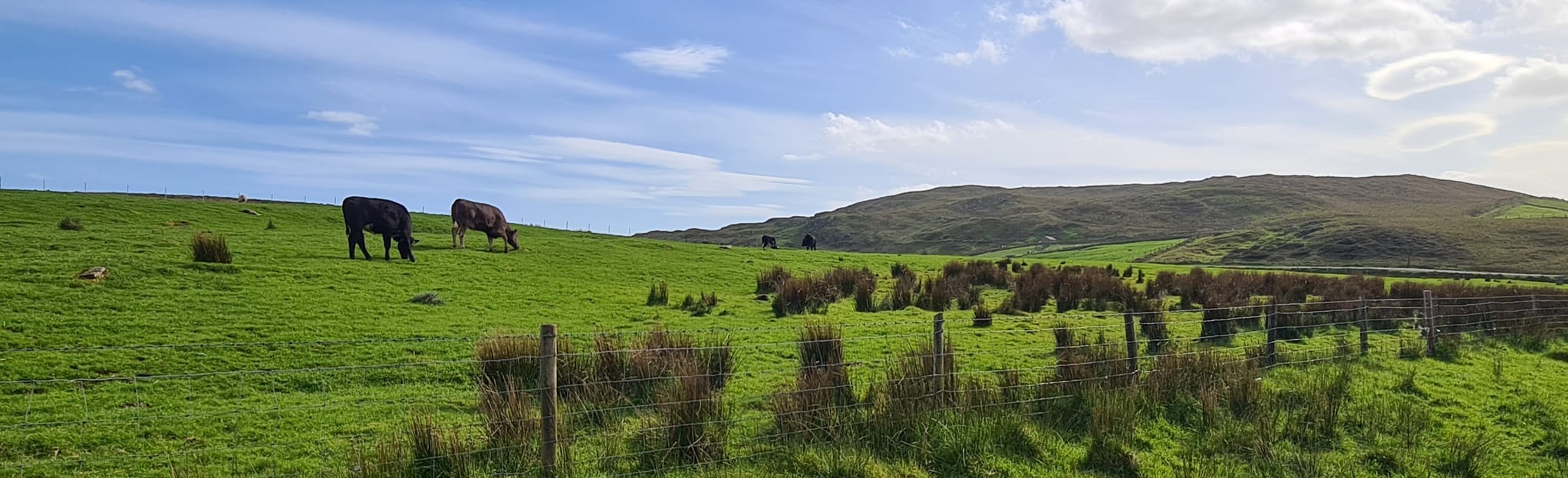 Slieve Croob, Newry, Mourne and Down, Northern Ireland - 121 Reviews ...