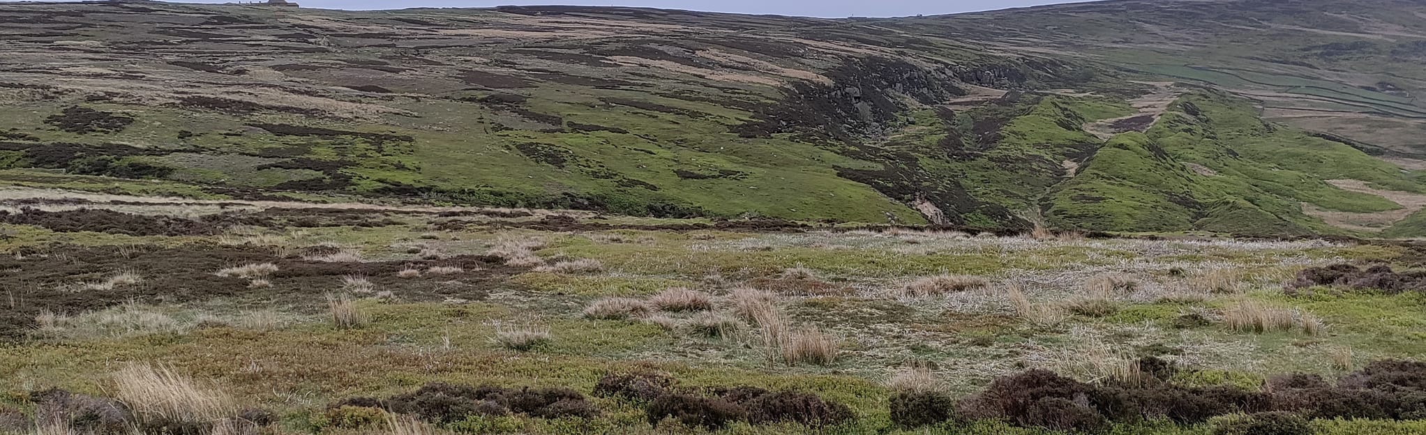 Danby Dale, Blakey and Westerdale Esk Valley: 11 Reviews, Map - North ...