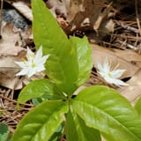 Monson Community Loop, New Hampshire - 265 Reviews, Map | AllTrails