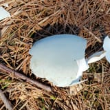 Monson Community Loop, New Hampshire - 265 Reviews, Map | AllTrails