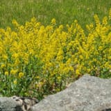 Monson Community Loop, New Hampshire - 268 Reviews, Map | AllTrails