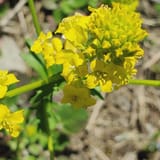 Monson Community Loop, New Hampshire - 268 Reviews, Map | AllTrails