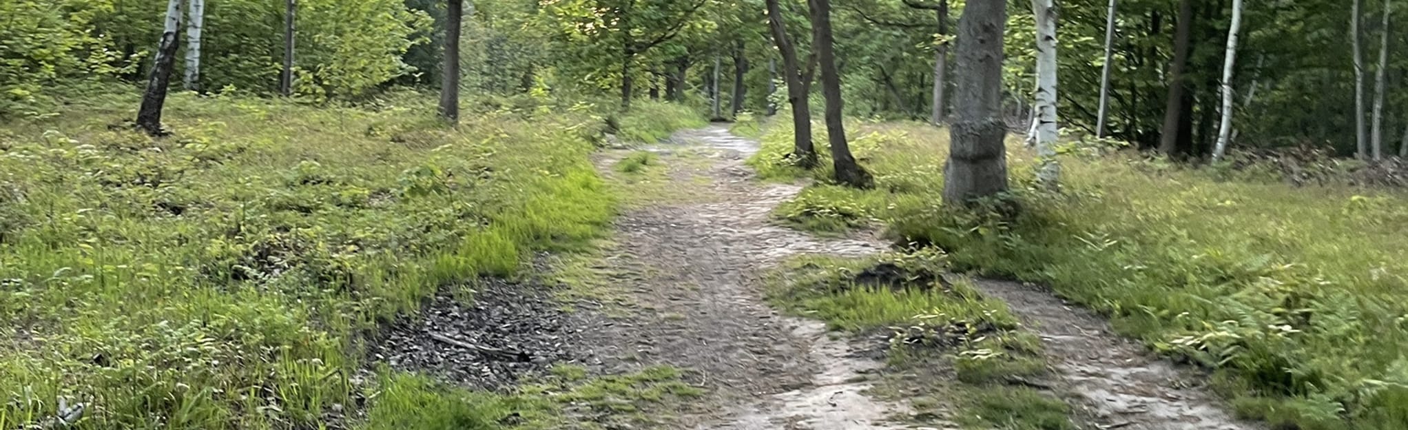 Maypole and East Blean Wood Circular, Kent, England - Map, Guide ...