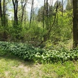 Genesee County Park and Forest Trail, New York - 284 Reviews, Map ...