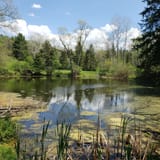 Genesee County Park and Forest Trail, New York - 284 Reviews, Map ...