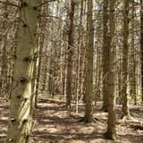 Genesee County Park and Forest Trail, New York - 284 Reviews, Map ...