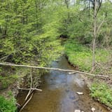 Genesee County Park and Forest Trail, New York - 284 Reviews, Map ...