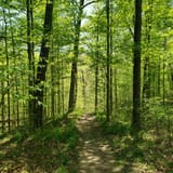 Genesee County Park and Forest Trail, New York - 284 Reviews, Map ...