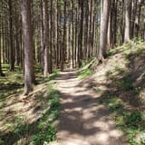 Genesee County Park and Forest Trail, New York - 284 Reviews, Map ...