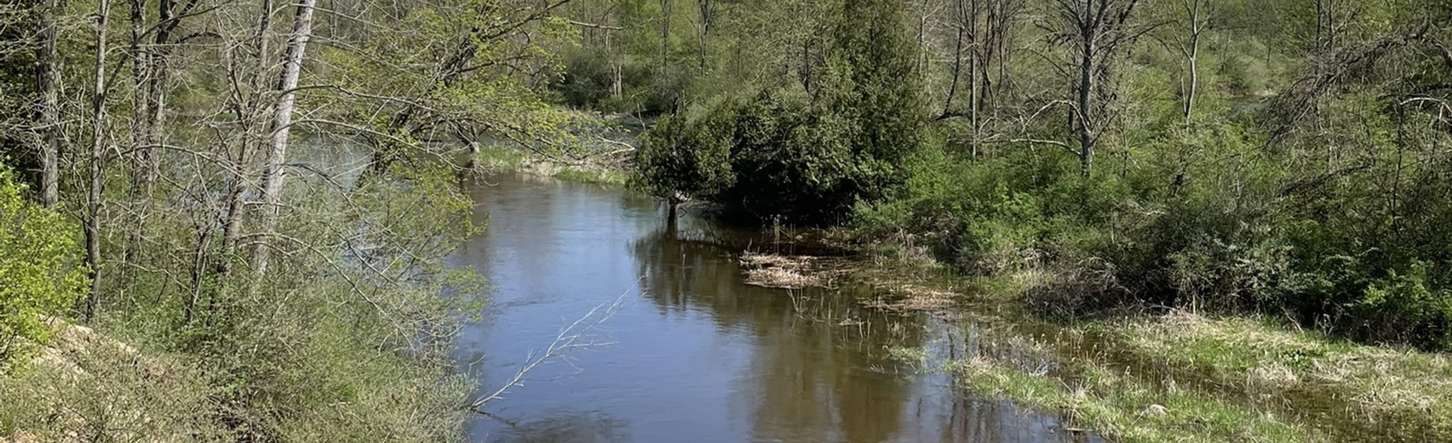 Meridian Park Trail, Michigan - 41 Reviews, Map | AllTrails
