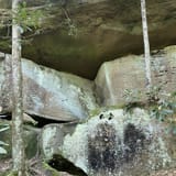 Silvermine Arch via Rough Trail, Kentucky - 120 Reviews, Map | AllTrails