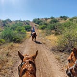 Windmill, Powerline and Kanally Wash Trail Loop , Arizona - 81 Reviews ...