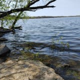 Lake Phalen, Minnesota - 633 Reviews, Map | AllTrails