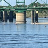 West Sacramento River Walk, California - 96 Reviews, Map | AllTrails