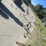 West Sacramento River Walk, California - 96 Reviews, Map | AllTrails