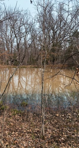 Best Hikes and Trails in Blue & Gray Park Preserve | AllTrails