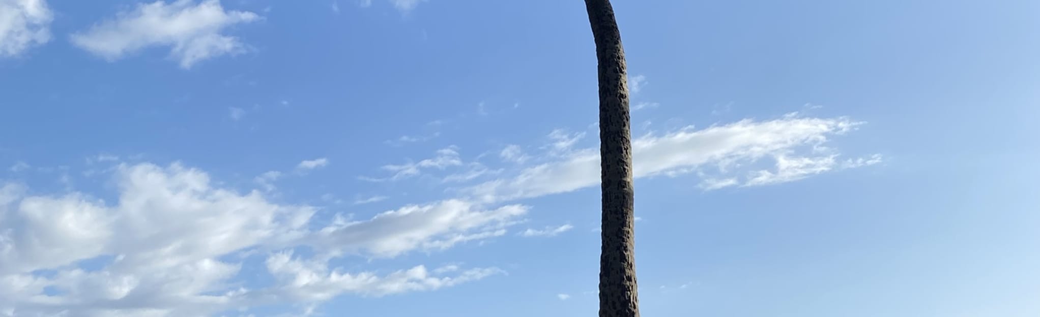 Kalama Park Loop, Maui, Hawaii - 121 Reviews, Map | AllTrails