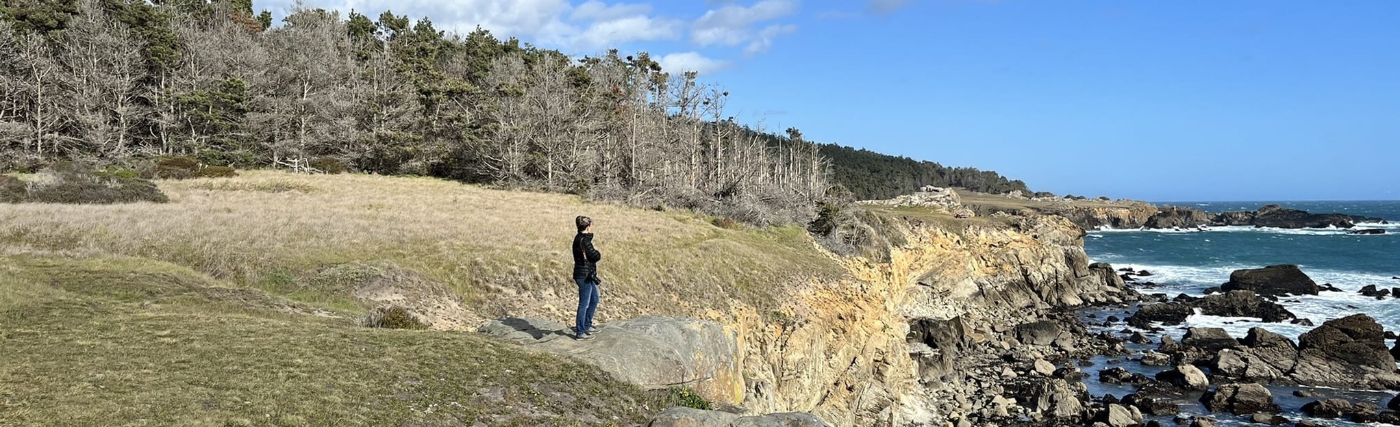 Salt Point Campground Coast Loop: 20 Reviews, Map - California | AllTrails