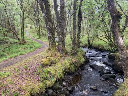 Best Walking Trails in Taynuilt | AllTrails