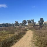 Modderfontein Dam Trail, Gauteng, South Africa - 329 Reviews, Map ...