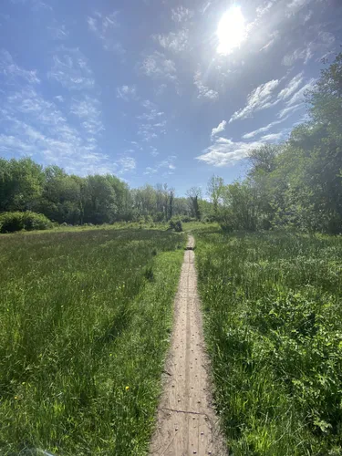 10 Best Forest Trails in Cambridge | AllTrails
