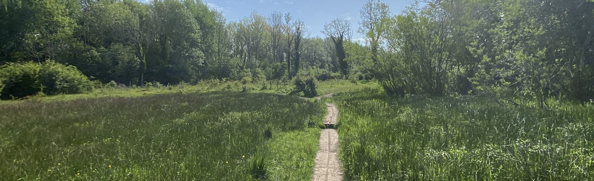 Fulbourn Fen Circular, Cambridgeshire, England - 34 Reviews, Map ...