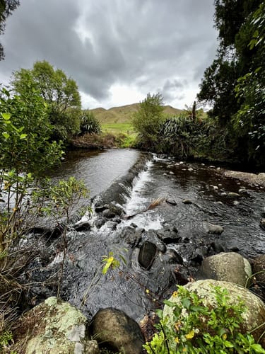 Mount Pirongia Forest Park : les meilleures randonnées itinérantes en ...